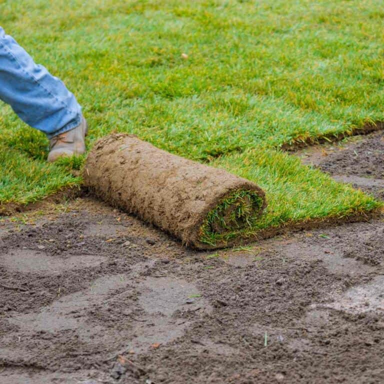 Landscaping Services BC | Lawn, Garden & Maintenance